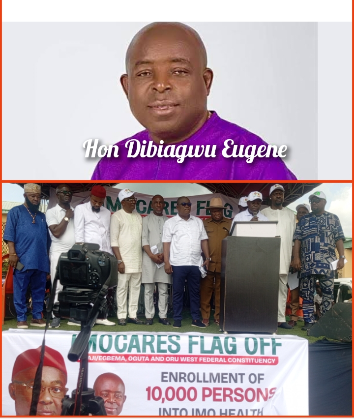 Imo health insurance scheme: Dibiagwu Flag-off enrollment of 10,000 ...