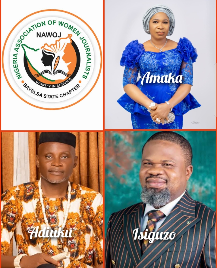 NAWOJ commends South East NUJ for organizing homecoming in honour of ...