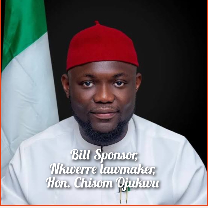 Imo Assembly passes Auctioneer licensing Bill …As Nkwerre lawmaker ...